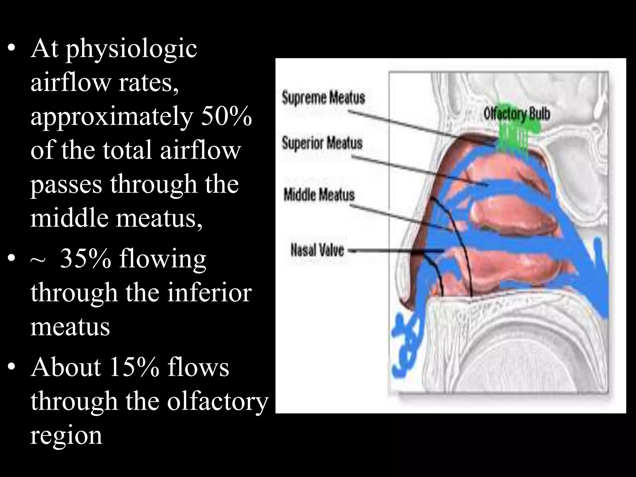 Physiology of olfaction | PPTX