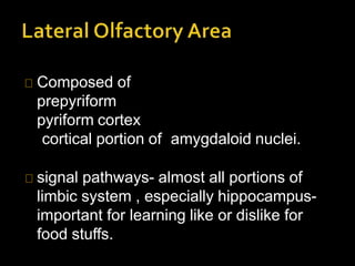 Physiology of olfaction | PPTX