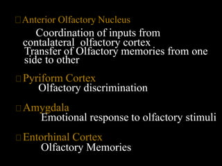 Physiology of olfaction | PPTX