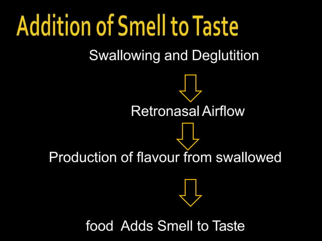 Physiology of olfaction | PPTX | Ear, Nose and Throat Conditions ...