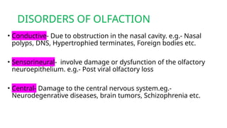 PHYSIOLOGY OF OLFACTION (1)... 1024.pptx