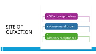 PHYSIOLOGY OF OLFACTION (1)... 1024.pptx
