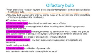 PHYSIOLOGY OF OLFACTION (1)... 1024.pptx