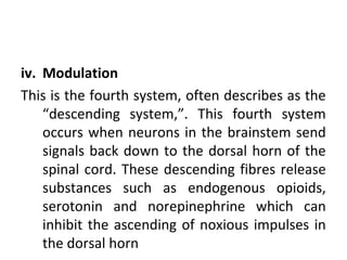 Physiology of pain | PPT