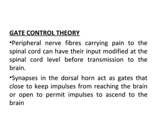 Physiology of pain | PPT
