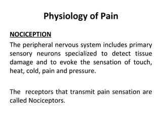 Physiology of pain | PPT