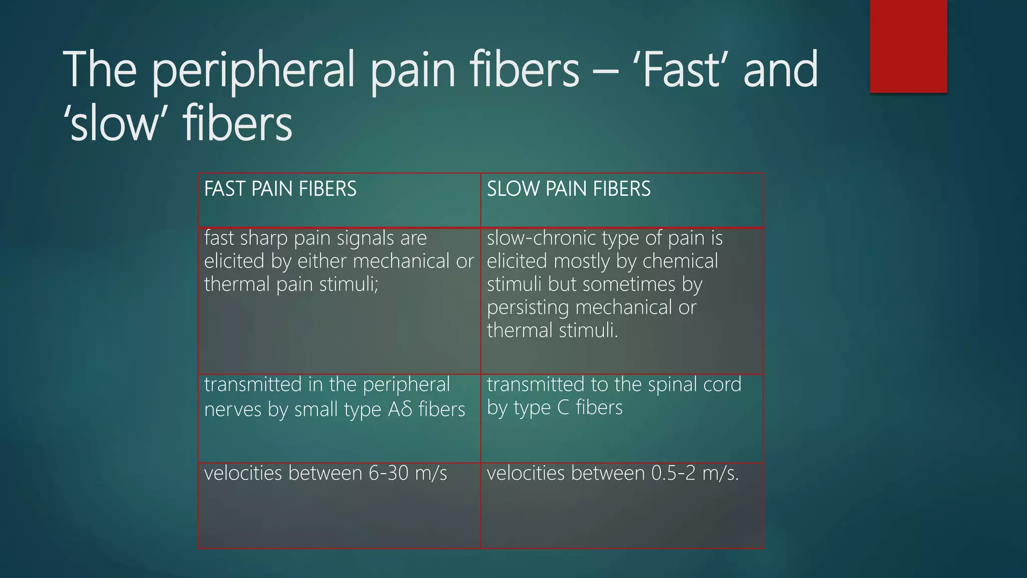 Physiology of pain | PPTX
