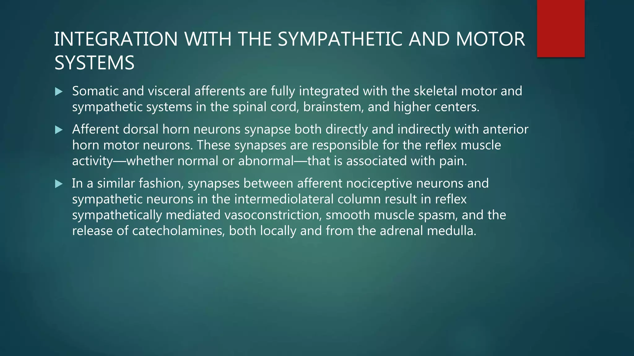 Physiology of pain | PPTX