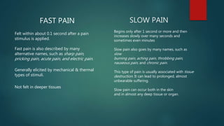 Physiology of pain | PPTX