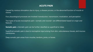 Physiology of pain | PPTX