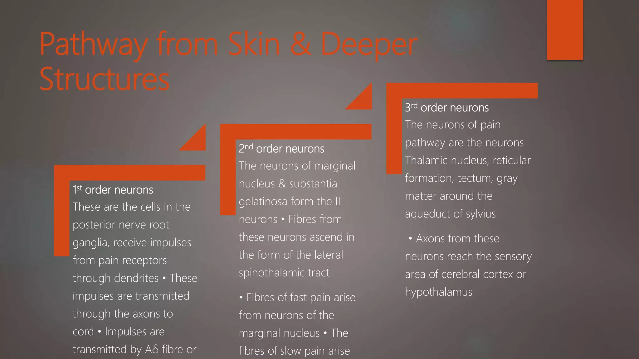 Physiology of Pain | PPTX