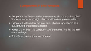 Physiology of Pain | PPTX