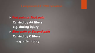 Physiology of Pain | PPTX
