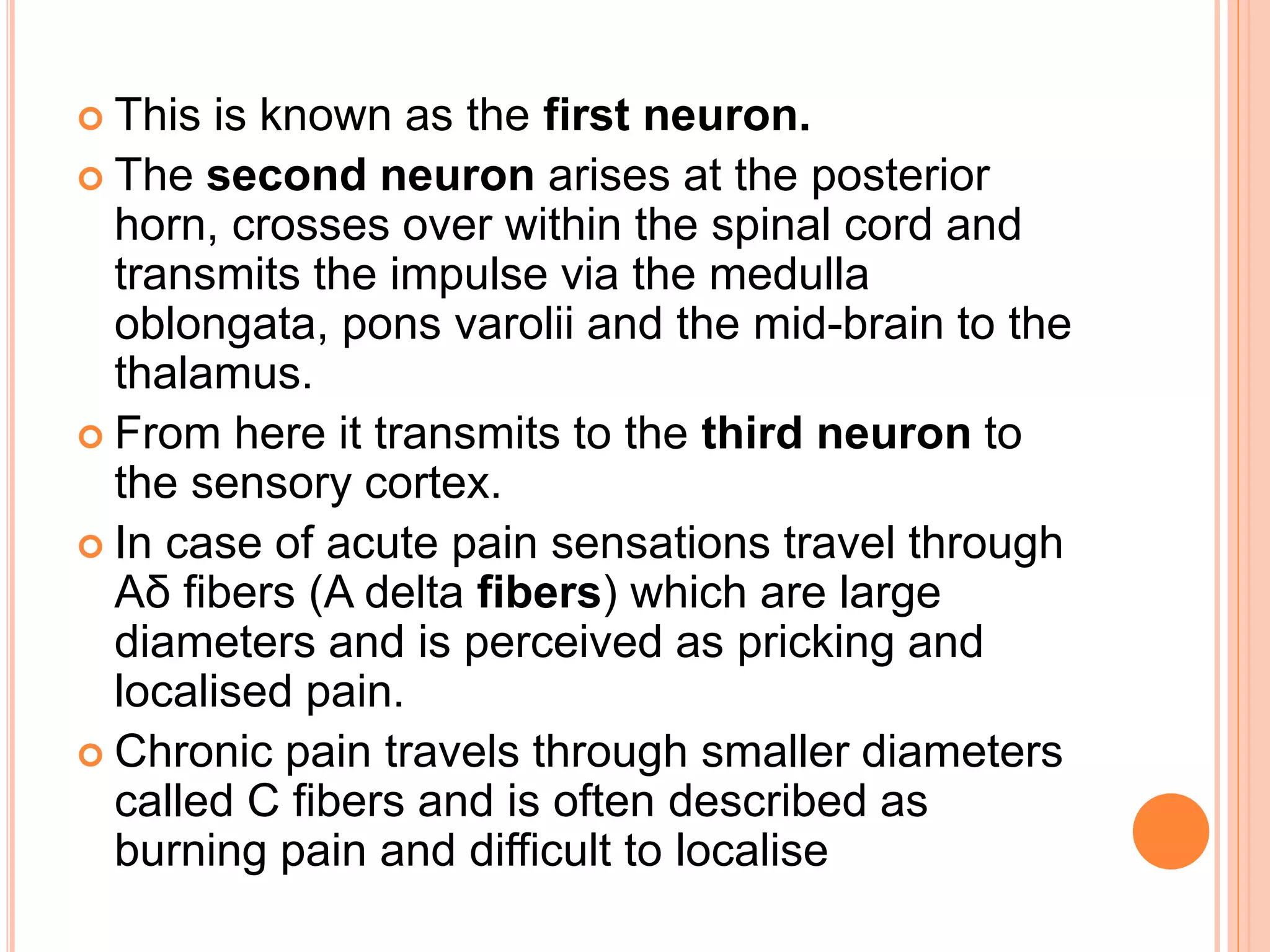 physiology of pain.ppt