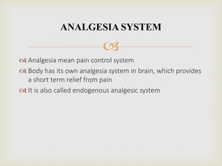 PHYSIOLOGY OF PAIN.pptx