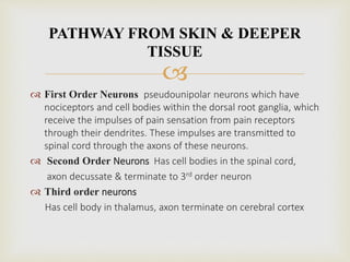 PHYSIOLOGY OF PAIN.pptx