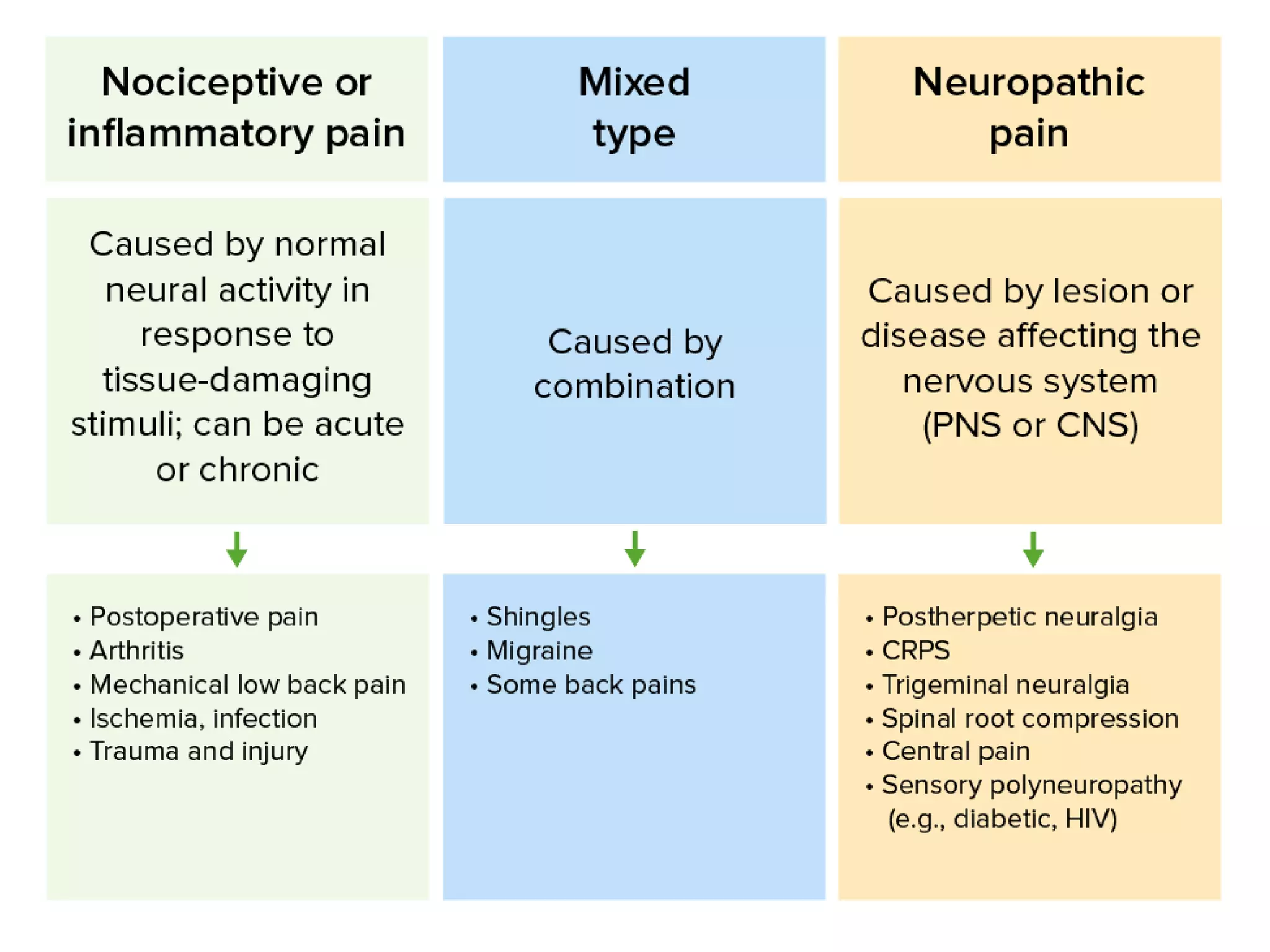 Physiology of Pain | PPTX