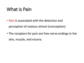 Physiology of Pain | PPTX