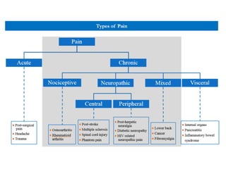 Physiology of Pain | PPTX