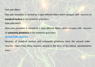 PHYSIOLOGY OF PAIN PHYSIOLOGY OF PAIN.pptx