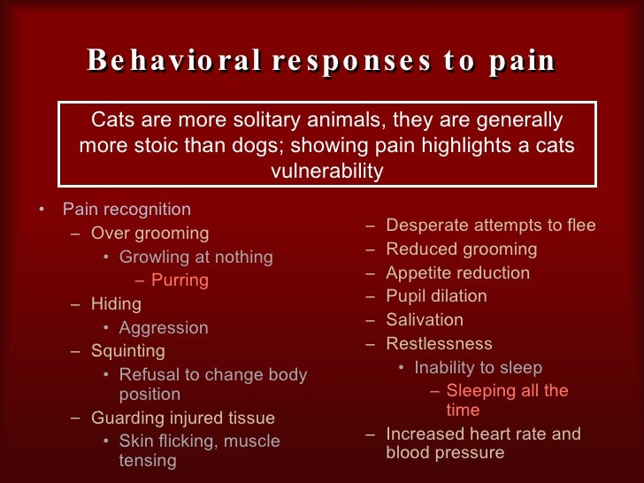 The Physiology Of Pain
