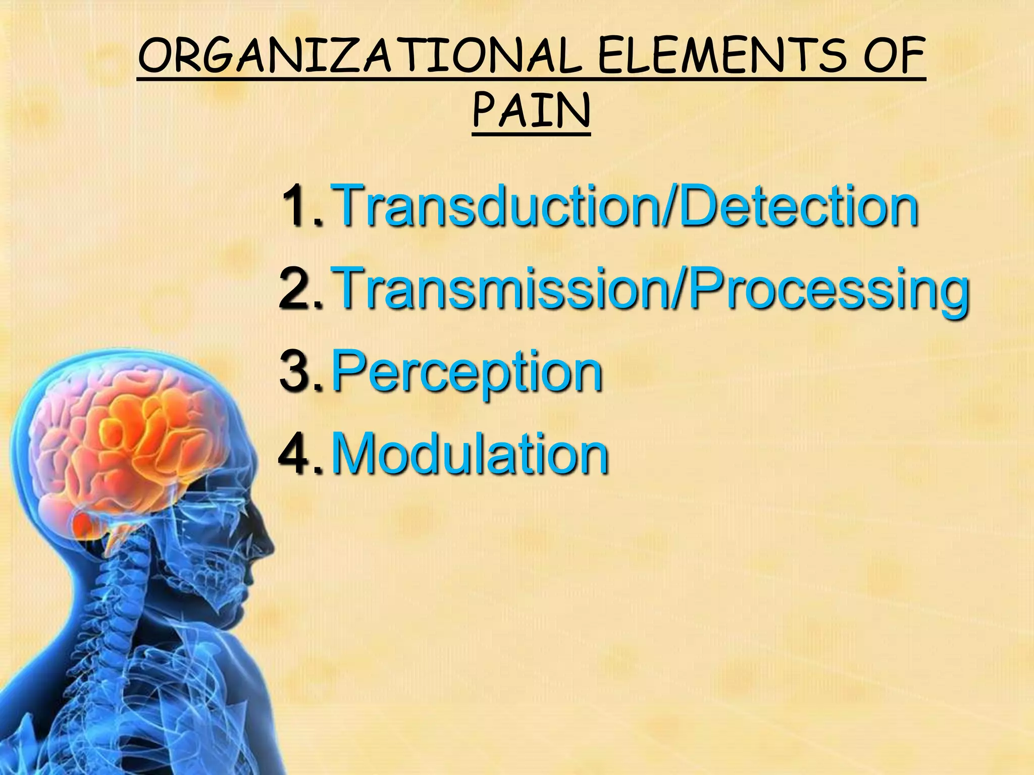 Physiology of pain2003 | PPT