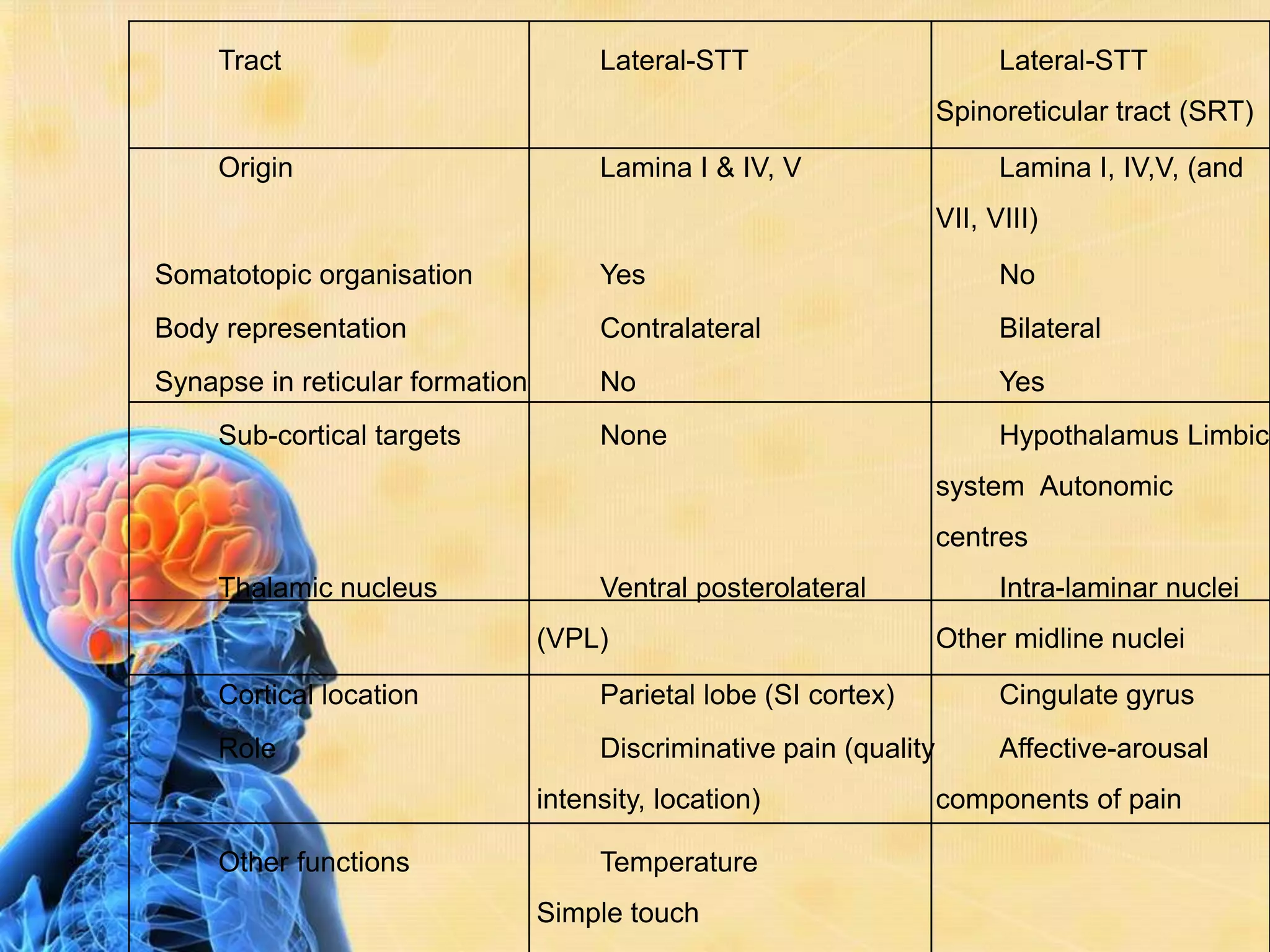 Physiology of pain2003 | PPT