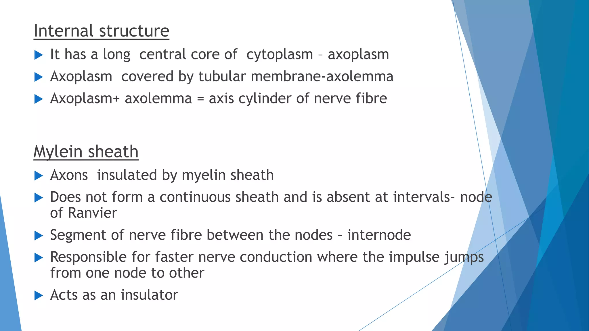 Physiology of Pain | PPTX