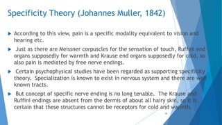 Physiology of Pain | PPTX