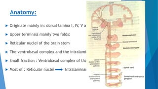 Physiology of Pain | PPTX