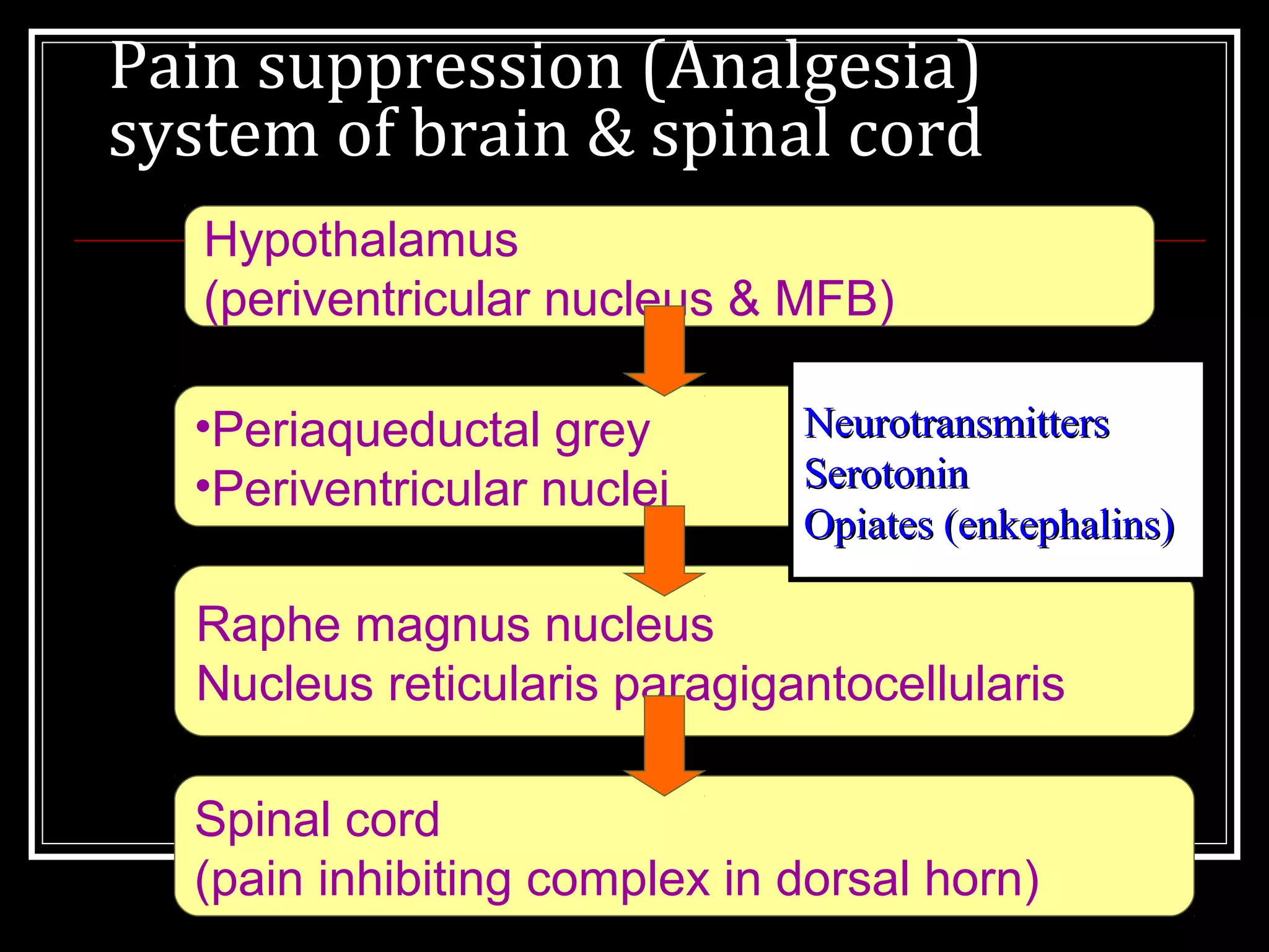 Physiology of pain pathway | PPT