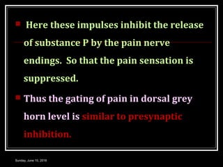 Physiology of pain pathway | PPT