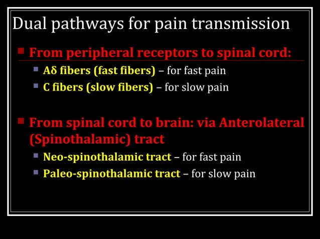 Physiology of pain pathway | PPT | Brain and Nervous System Disorders ...