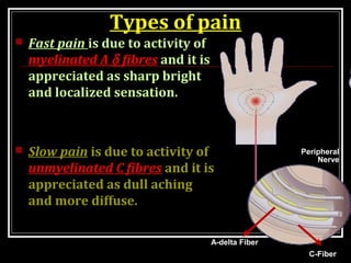 Physiology of pain pathway | PPT