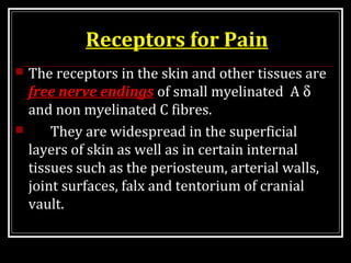 Physiology of pain pathway | PPT