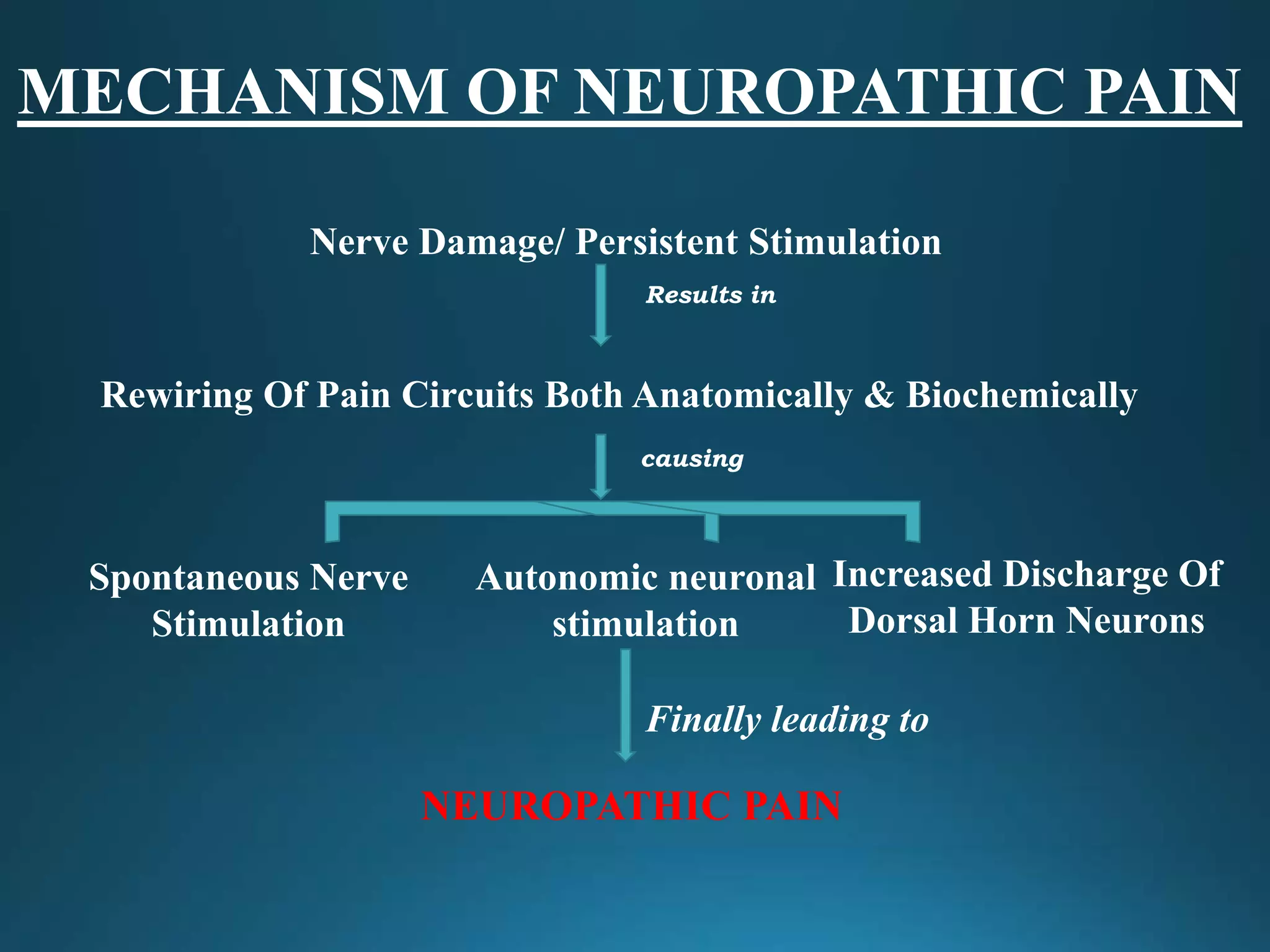 Physiology of pain pathways | PPTX