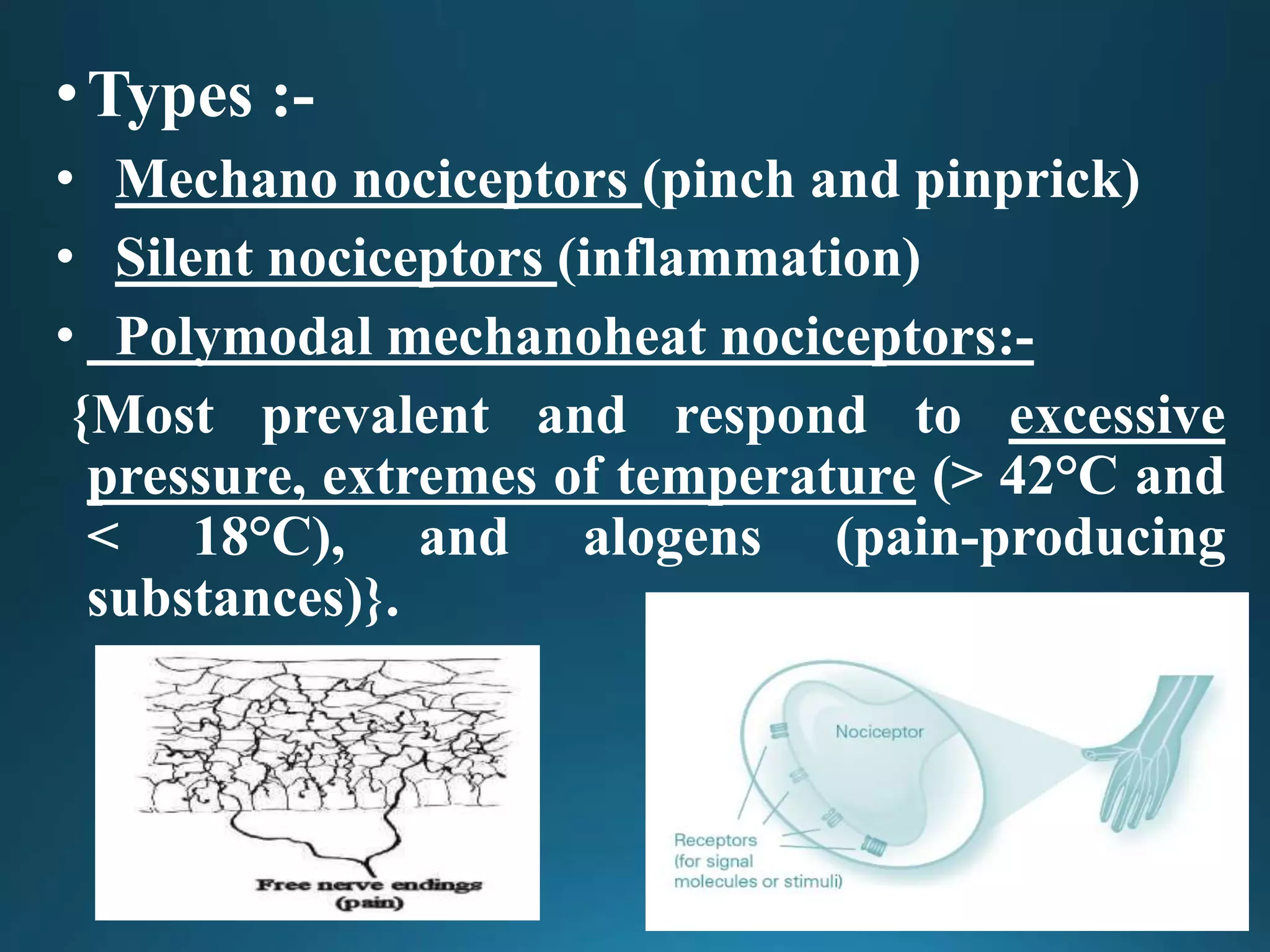 Physiology of pain pathways | PPTX