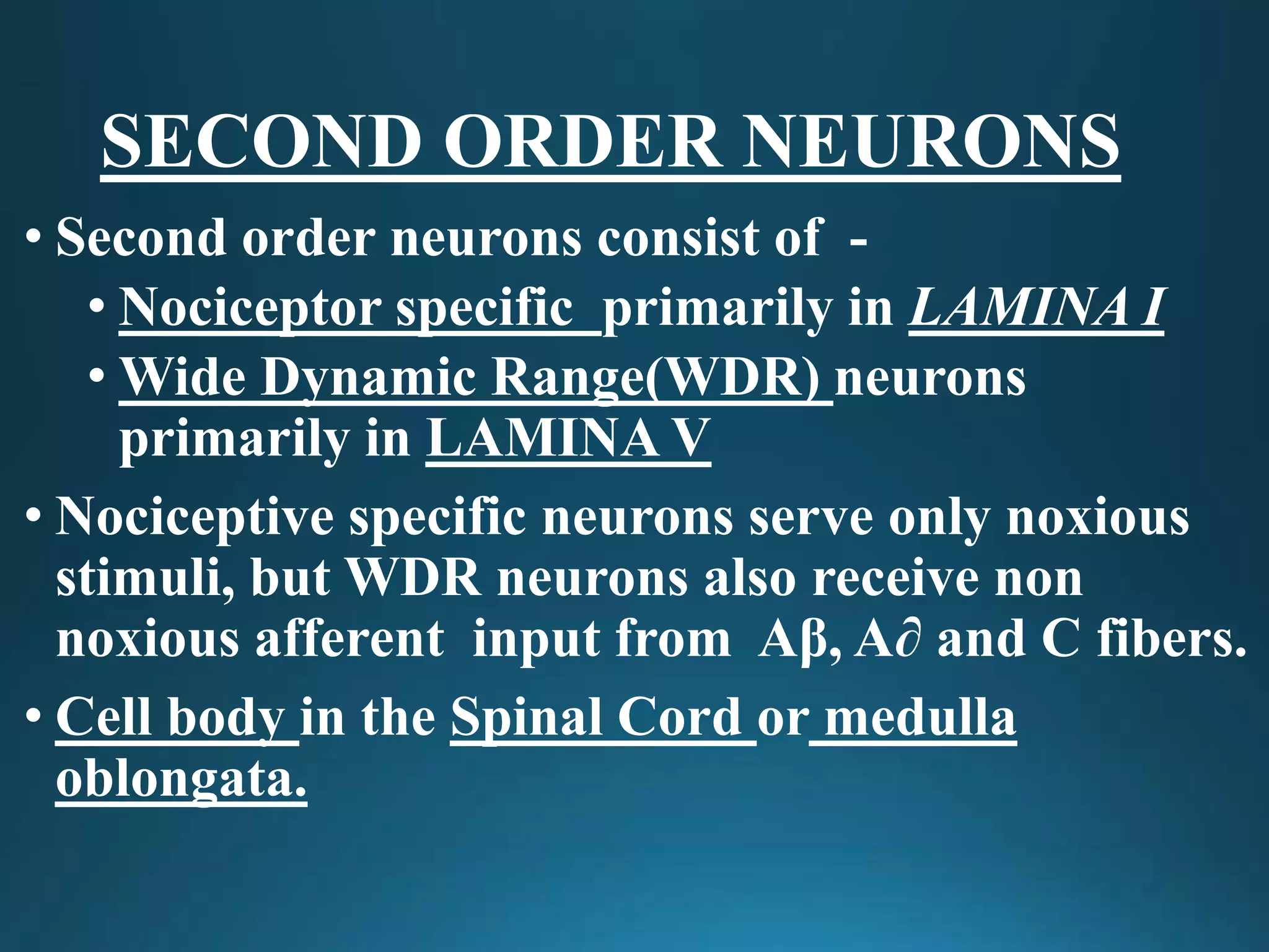 Physiology of pain pathways | PPTX