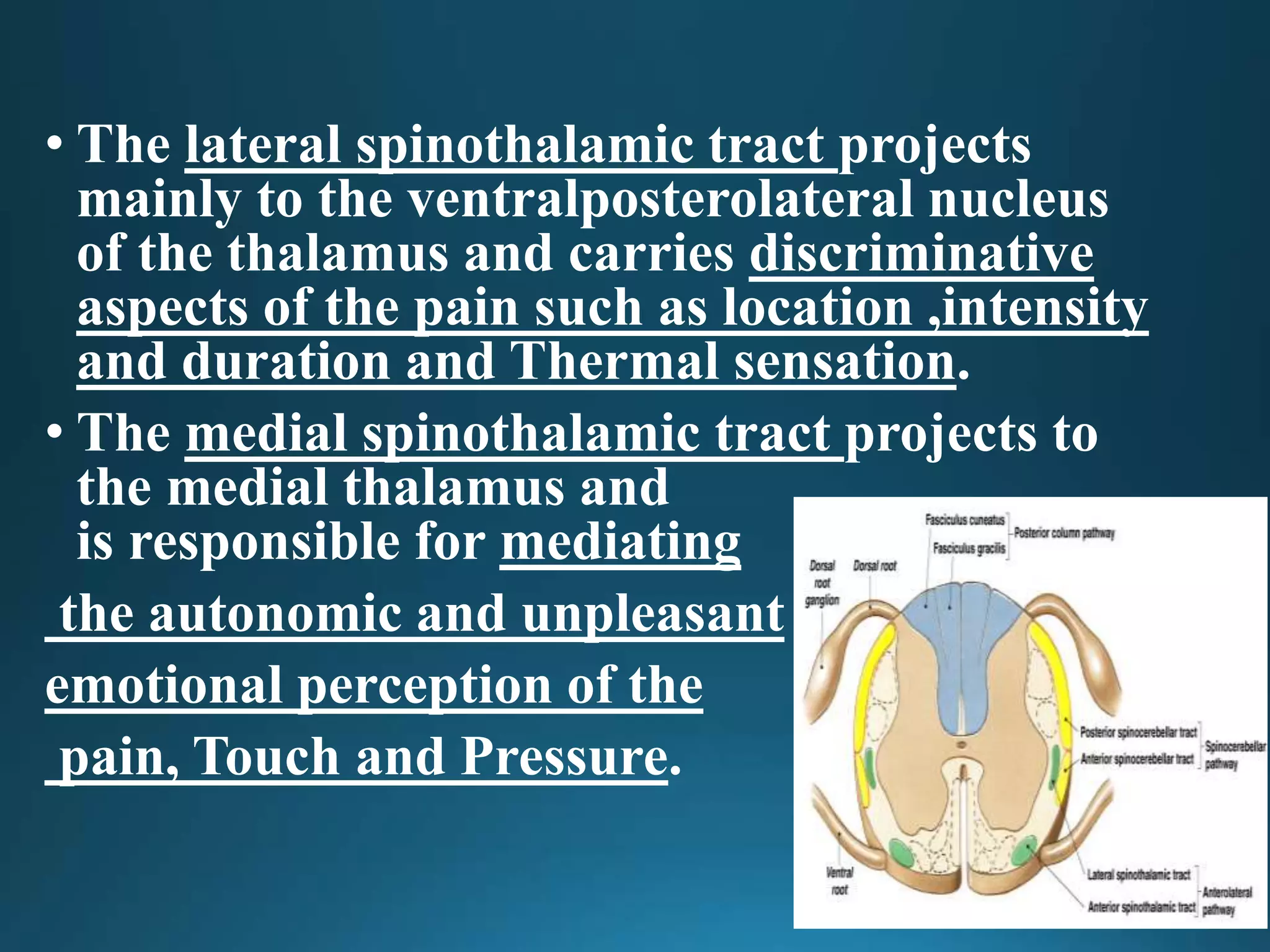 Physiology of pain pathways | PPTX