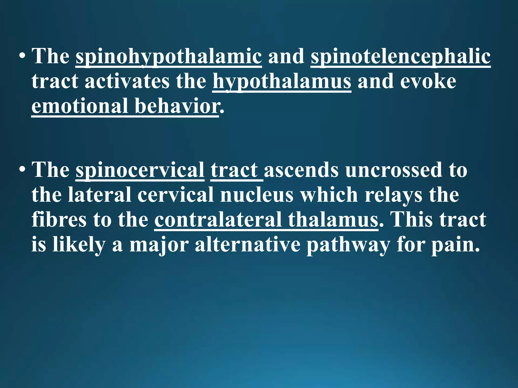 Physiology of pain pathways | PPTX