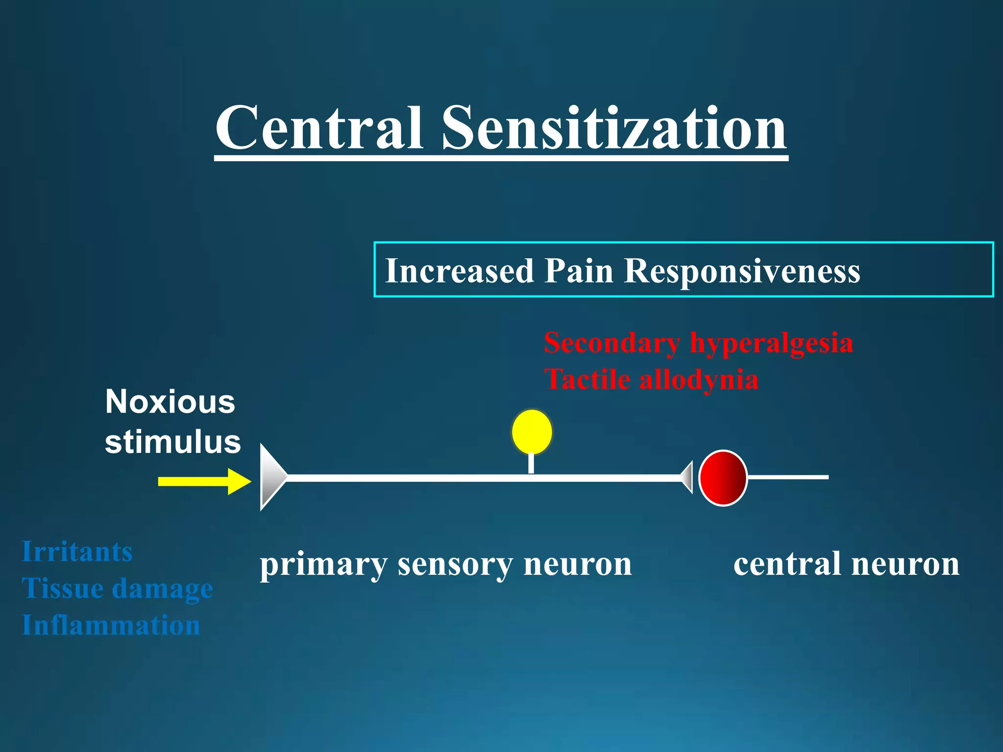 Physiology of pain pathways | PPTX