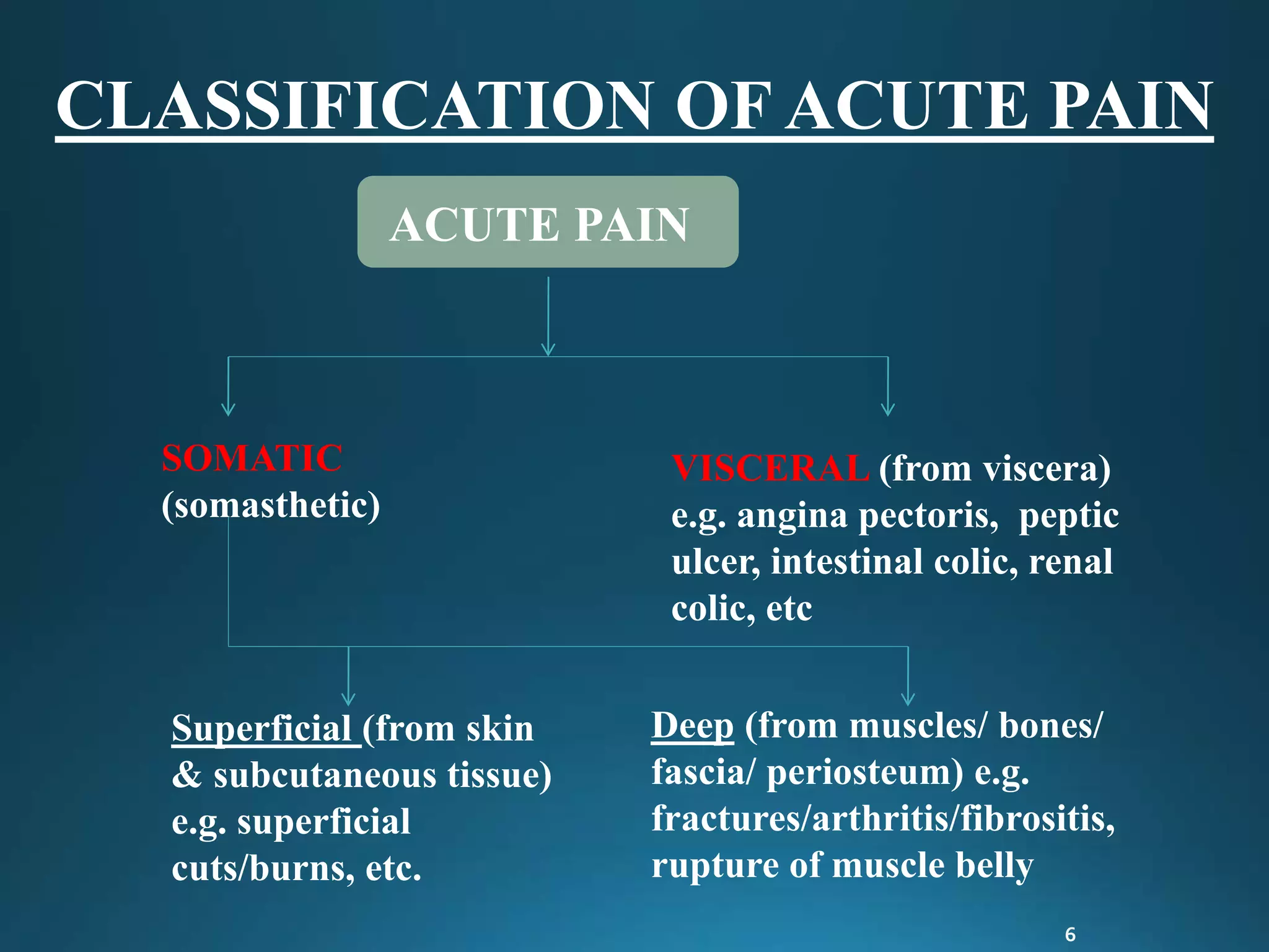 Physiology of pain pathways | PPTX
