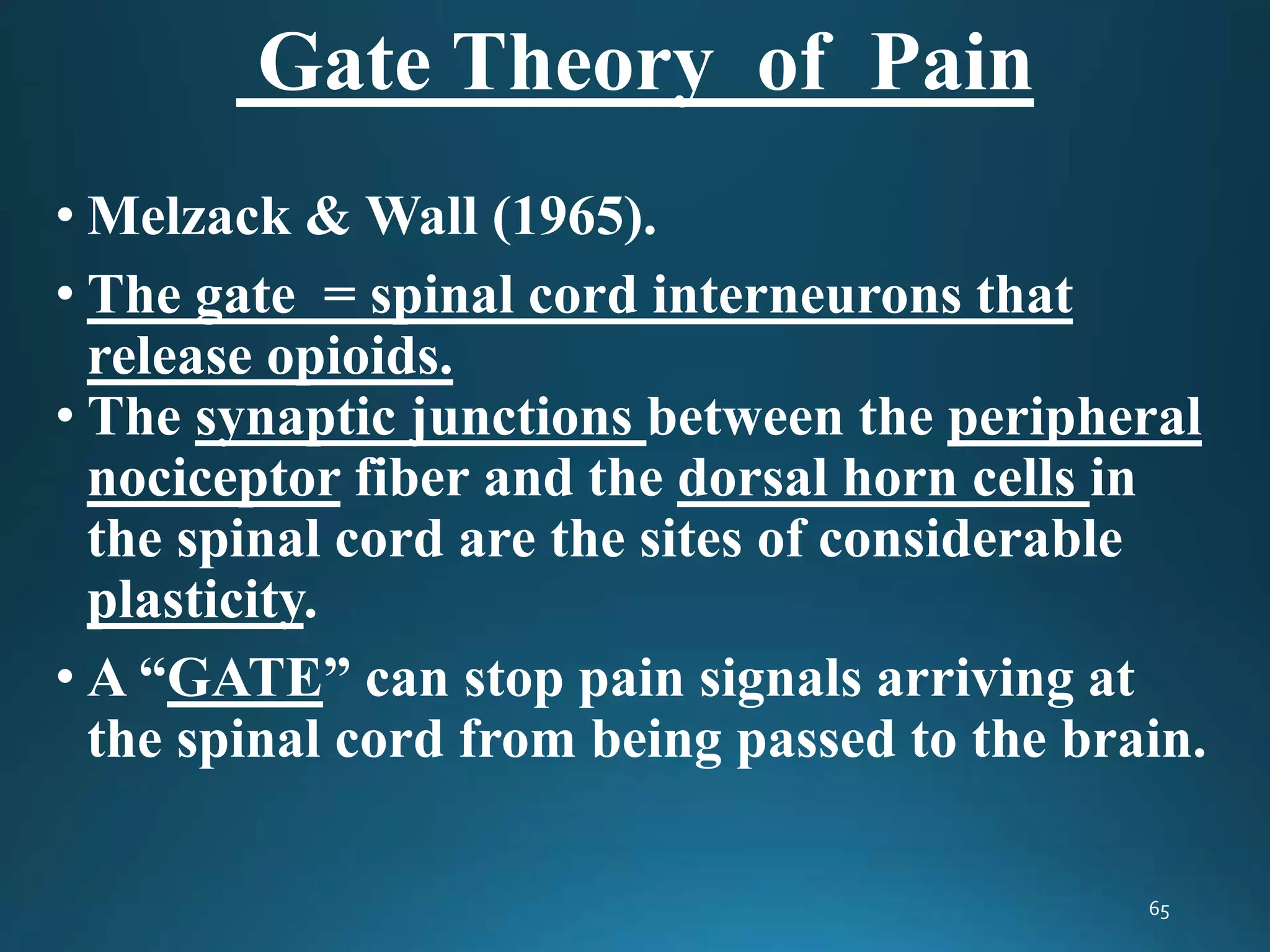 Physiology of pain pathways | PPTX