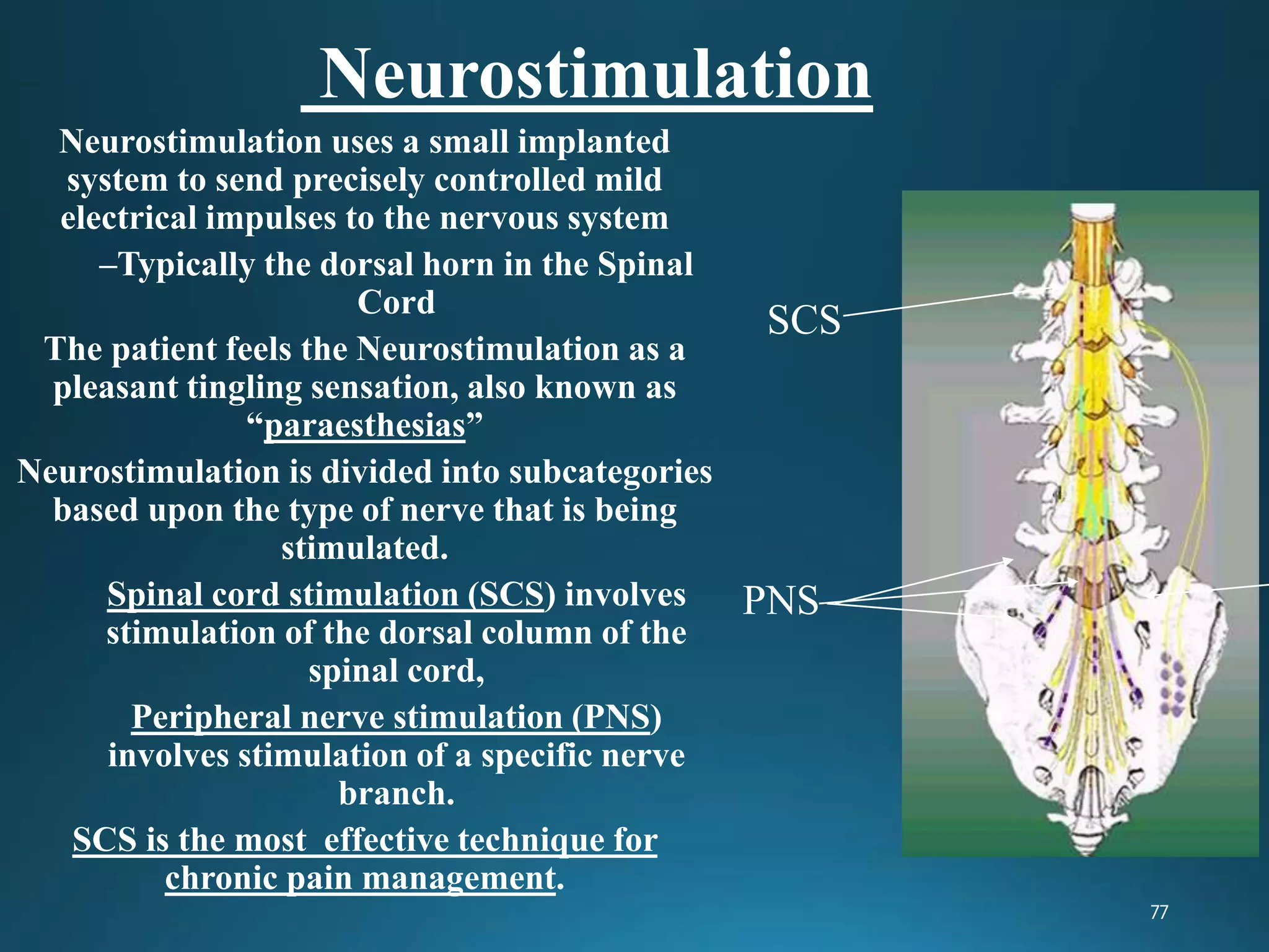 Physiology of pain pathways | PPTX