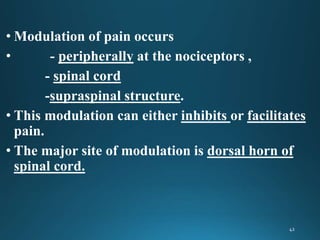 Physiology of pain pathways | PPTX