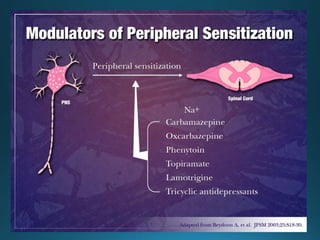 Physiology of pain pathways | PPTX