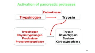 physiology of pancreatic secretion and disorders.ppt