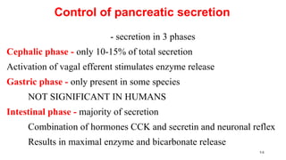 physiology of pancreatic secretion and disorders.ppt