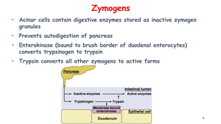 physiology of pancreatic secretion and disorders.ppt