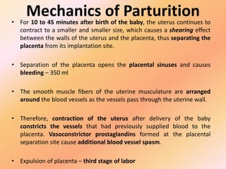 Physiology of parturition | PPTX